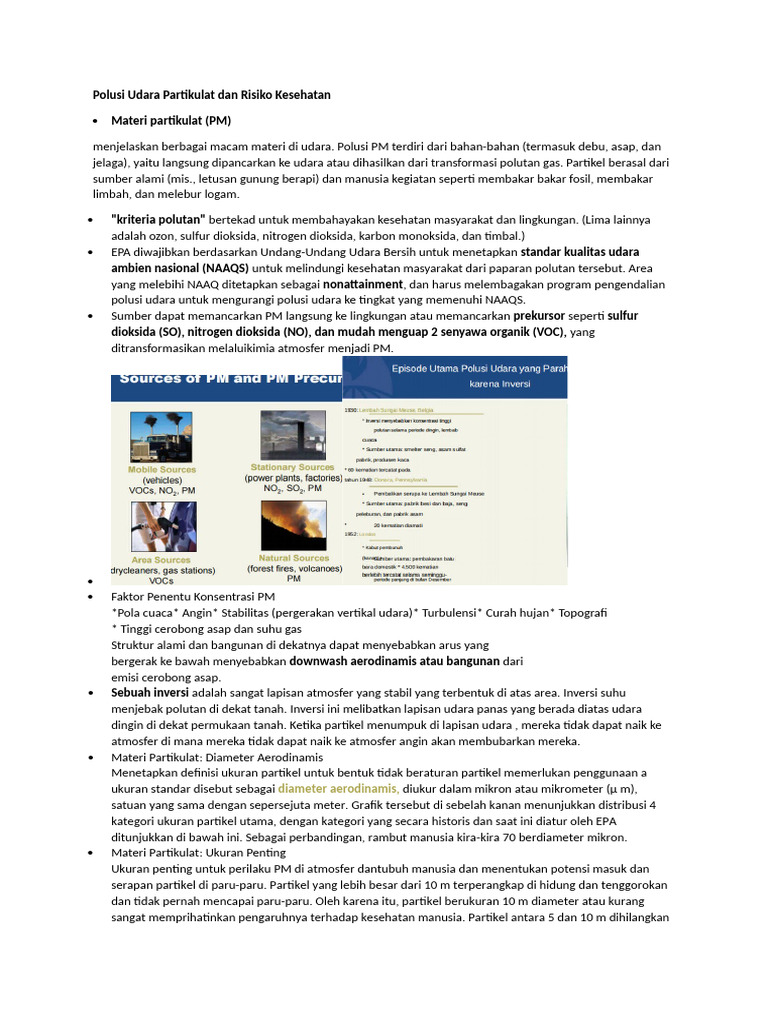 UAS Polusi Udara Partikulat Dan Risiko Kesehatan | PDF | Sains & Matematika