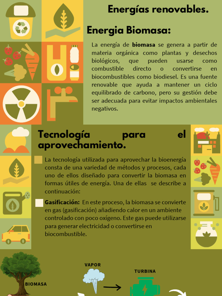 Energías Renovables. Energia Biomasa | PDF | Biomasa | Biocombustible