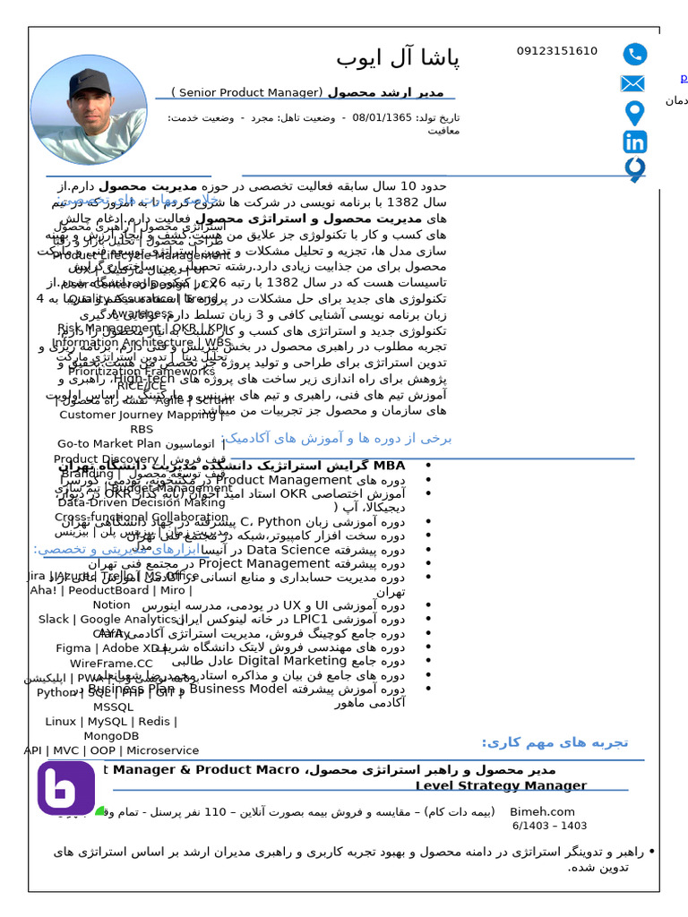 CV Pasha - Alayoob PM FA | PDF