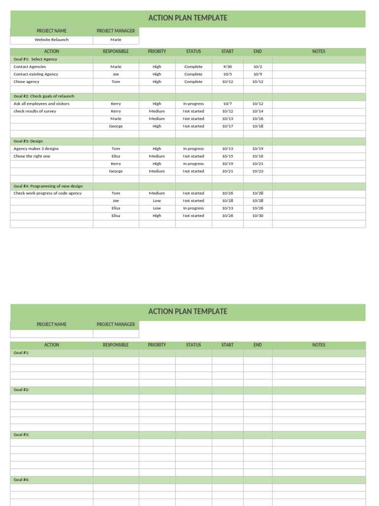 Template Action Plan | PDF