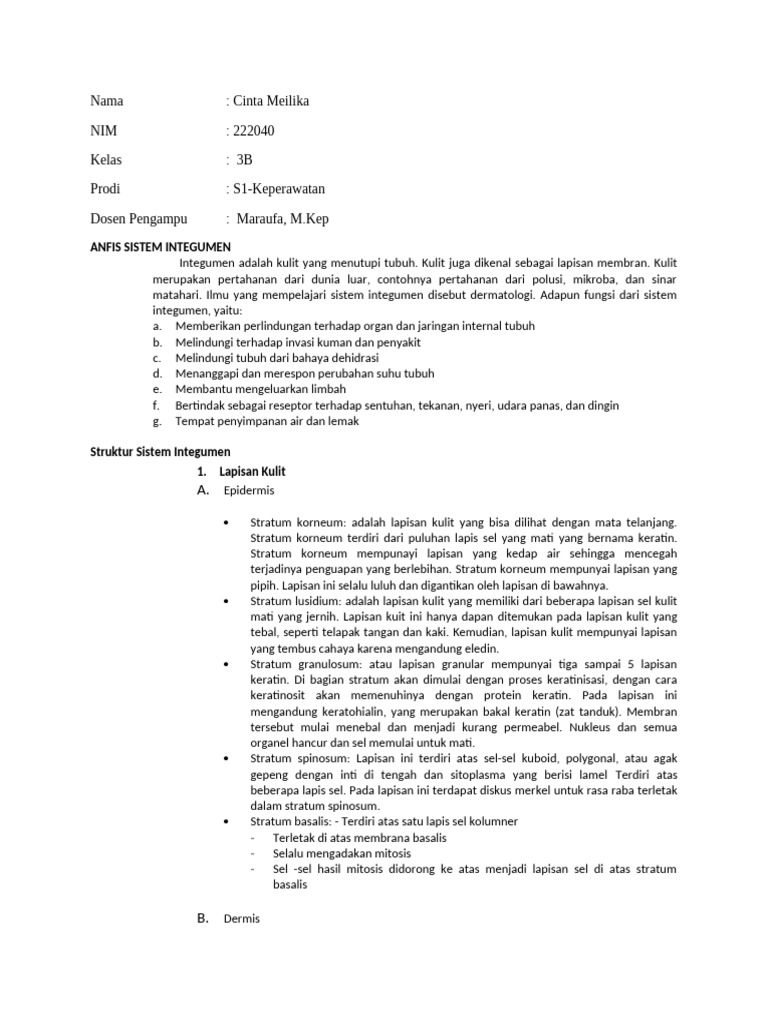 Tugas-1 - Cinta Meilika - 3B - S1 - ANFIS INTEGUMEN | PDF