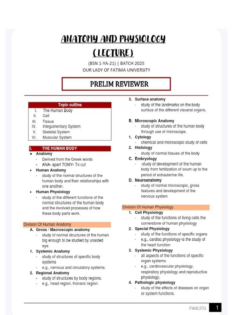 Anaphy Prelim Reviewer | PDF