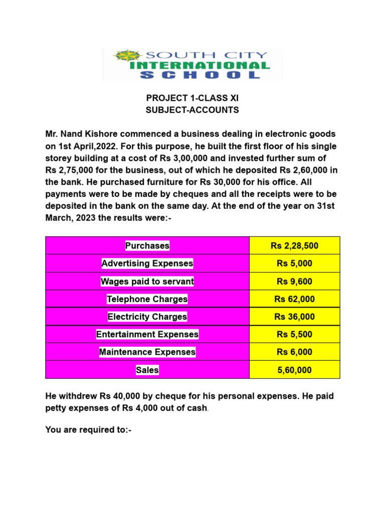 Class XI Accounts Project Overview | PDF