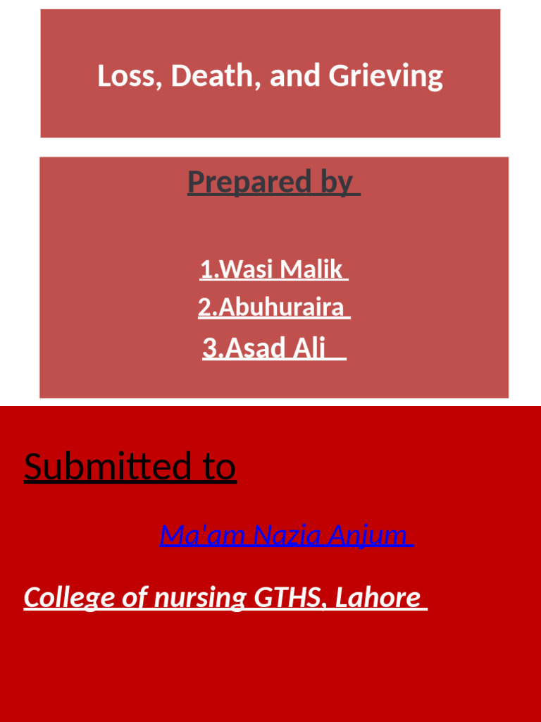 Grief And Loss In Nursing Care Pdf Grief Cognitive Science