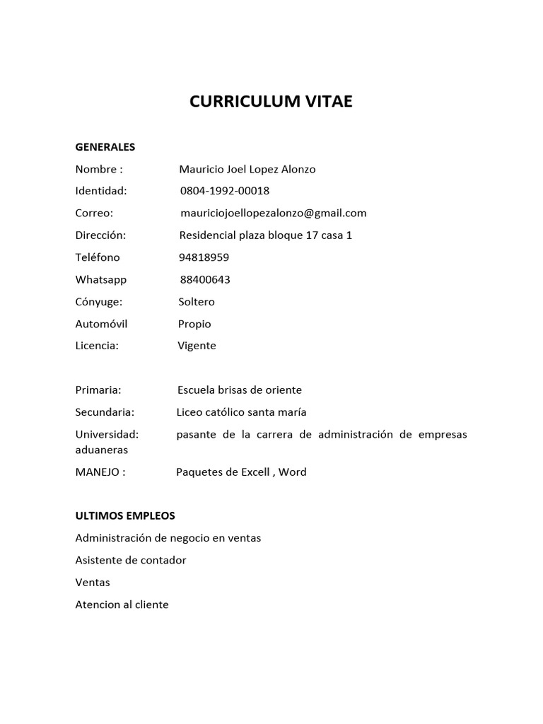 Curriculum Vitae Maurit Lopez | PDF | Política