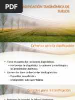 LITOSOLES | PDF | Suelo | Roca (geología)