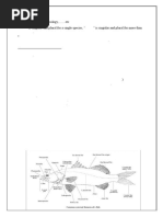 Fish Mouth Types | PDF