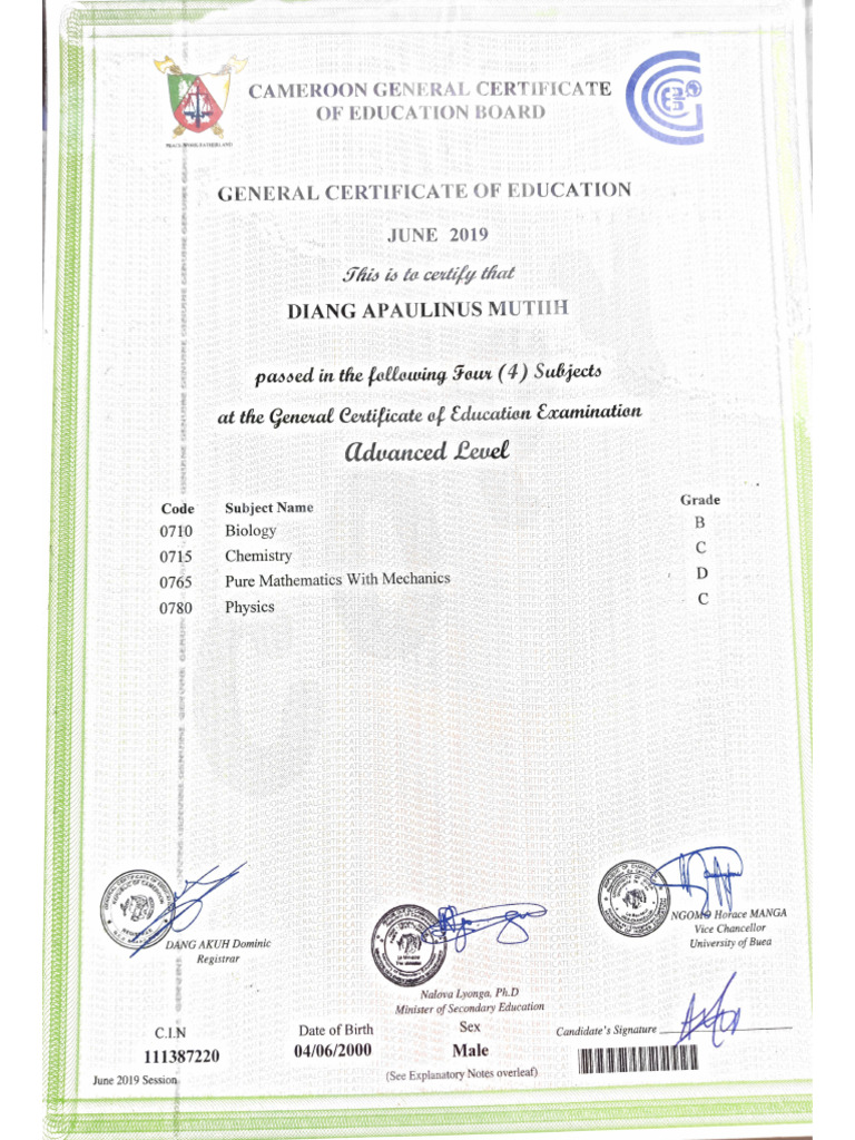 AL Certificate | PDF