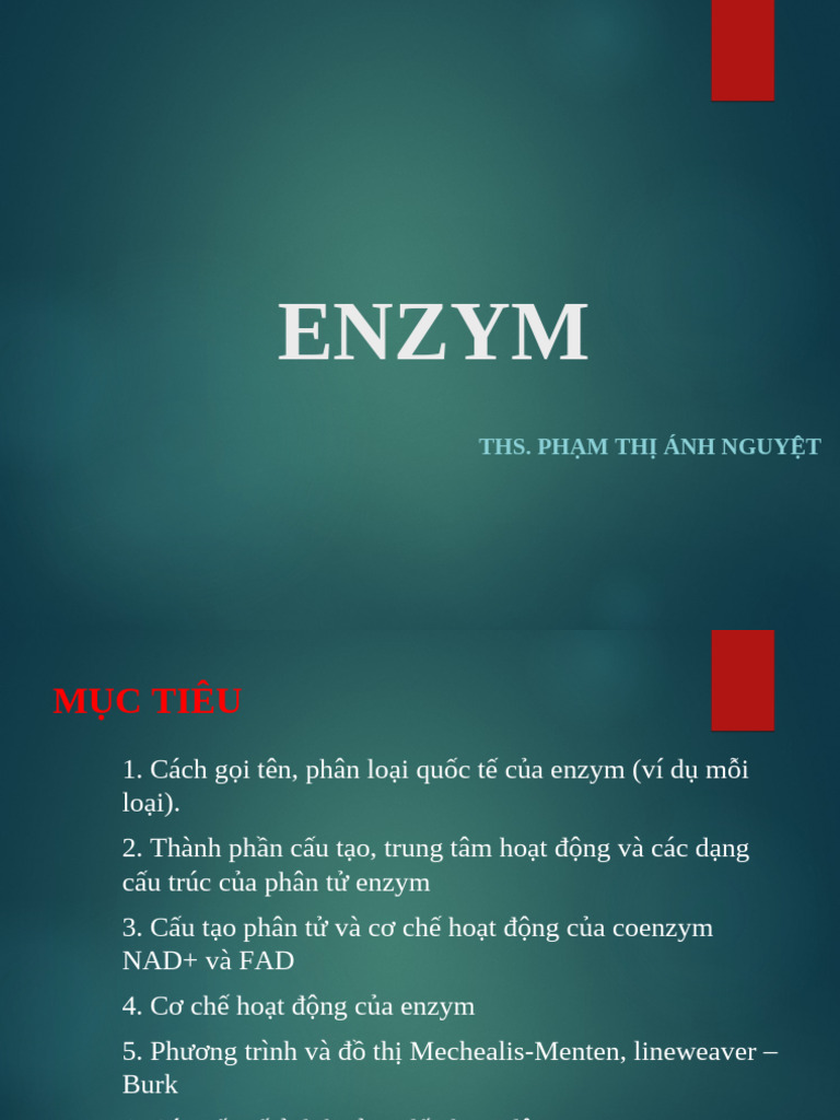 Bài 3 .Hóa Sinh Enzym | PDF