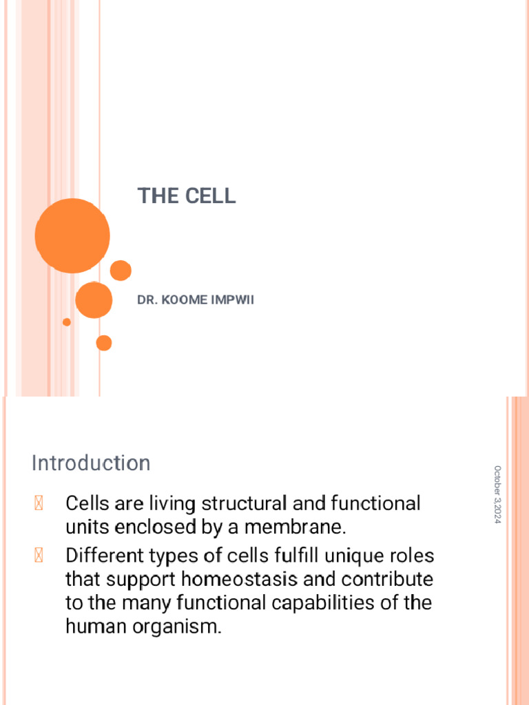 The Cell-2024 Phoenix | PDF