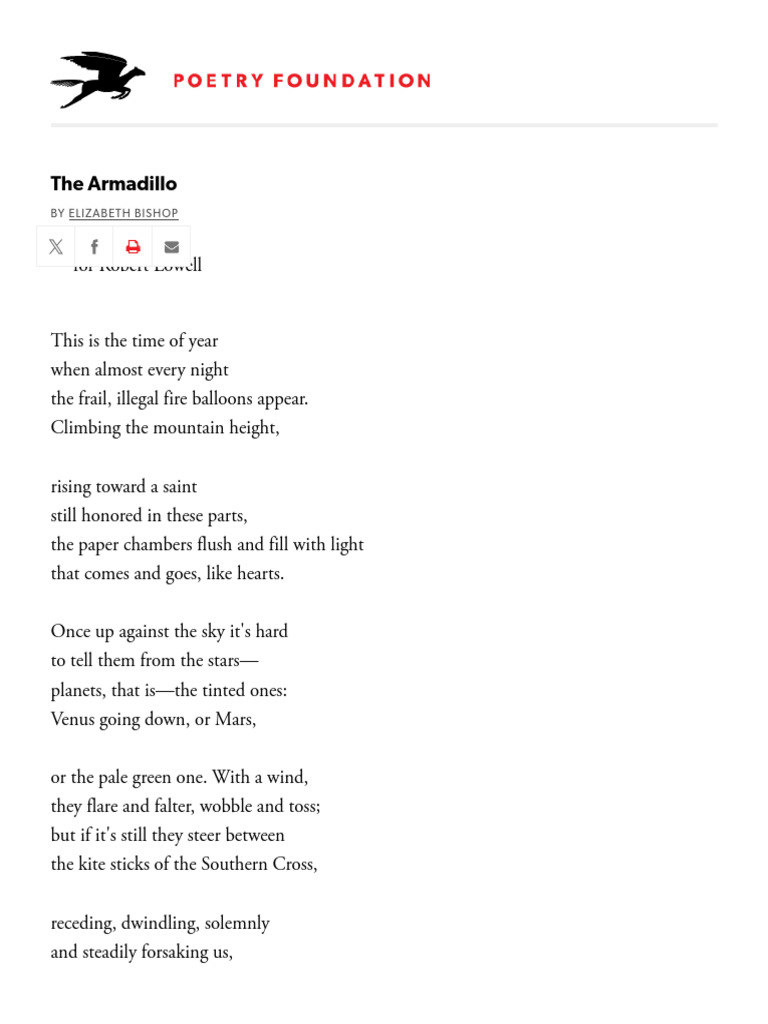 The Armadillo | PDF | Young Adult | Classics