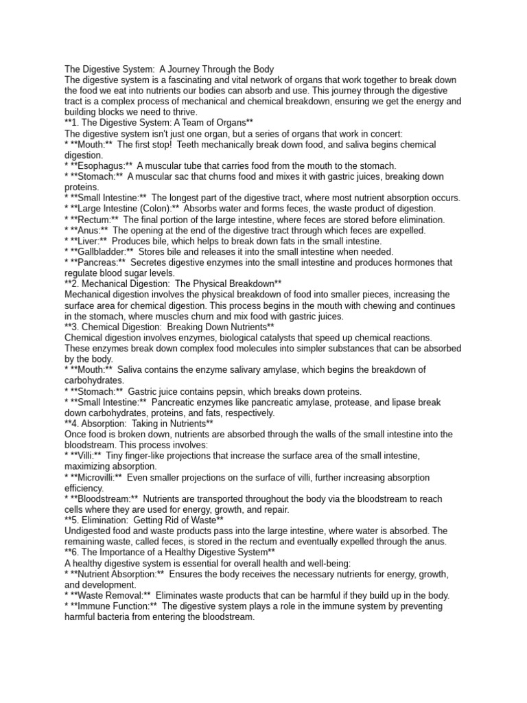 Understanding the Digestive System | PDF | Digestion | Human Digestive ...