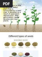 Leaf Area Measurement MSC Botany Practical | PDF