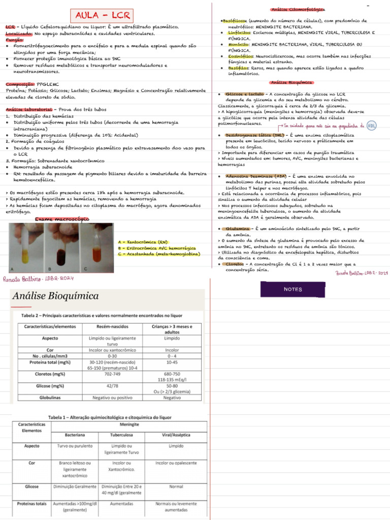 Análise do LCR: Funções e Diagnósticos | PDF | Líquido ...
