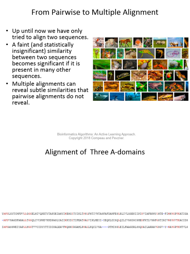 Module Comparing and Visualizing Multiple Biological Sequences | PDF | Sequence Alignment ...