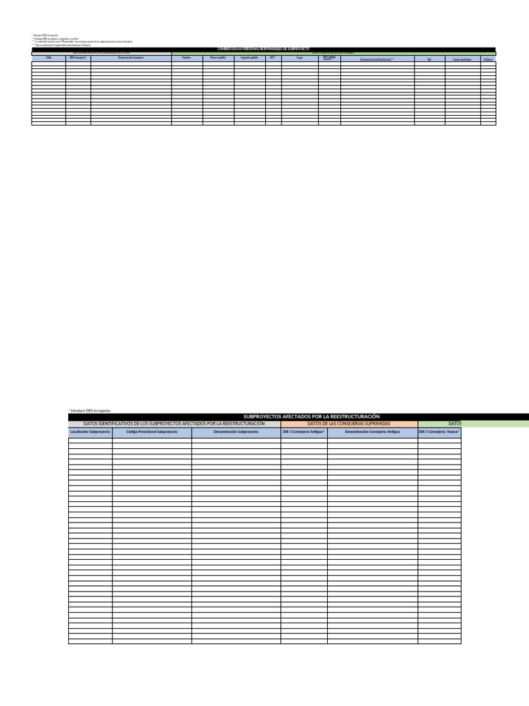 3.plantilla Única Reestructuración CCAA | PDF | Informática