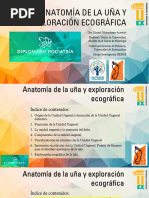 Colirio Bideon: Usos y Precauciones | PDF | Hipertensión | Anestesia