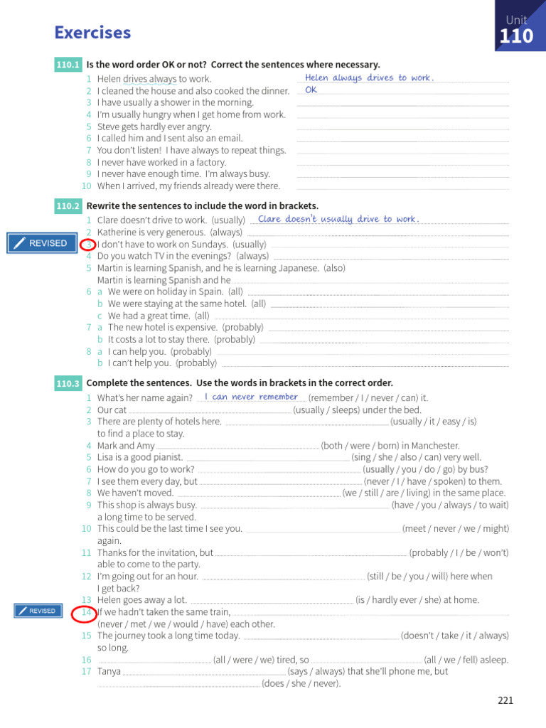 Sentence Structure and Exercises Guide | PDF