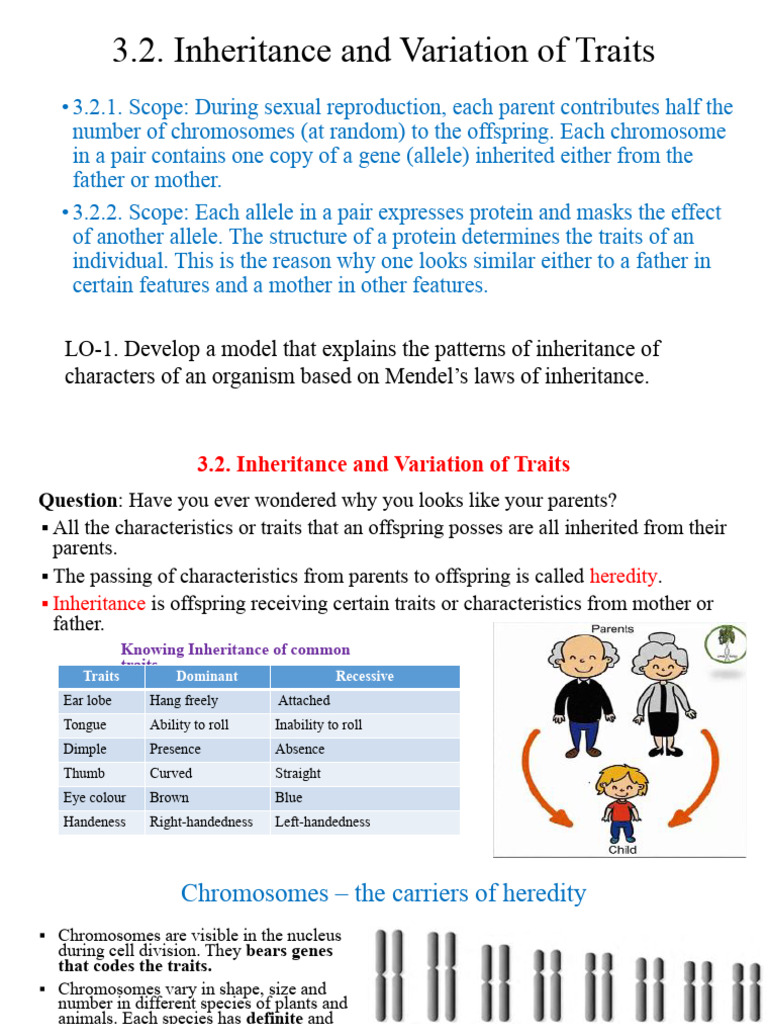 Inheritance.pptx | PDF | Dominance (Genetics) | Genotype