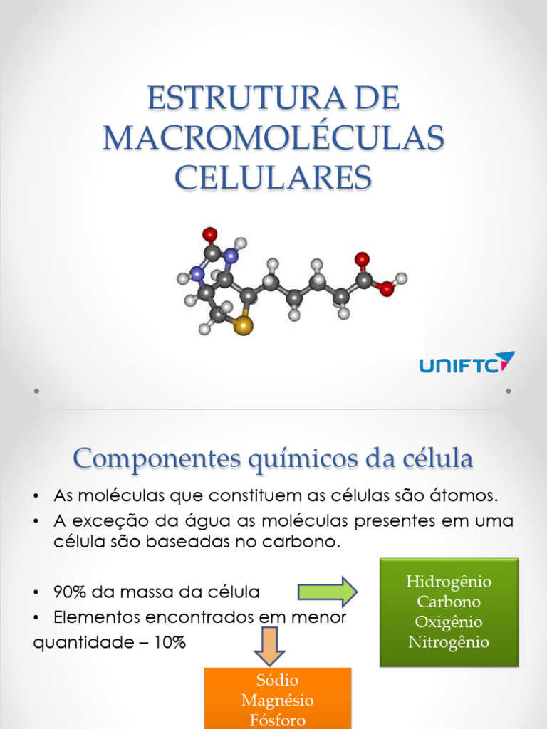 Estrutura de Macromoléculas | PDF | Carboidratos | Ácidos nucleicos