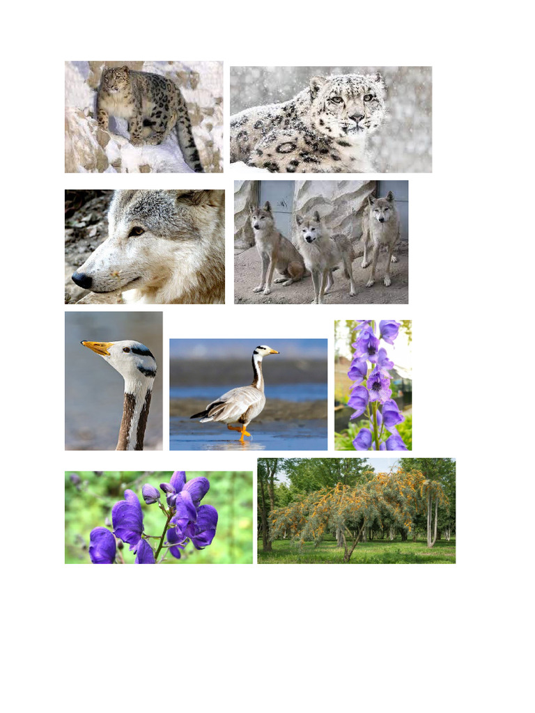 Science Project | PDF