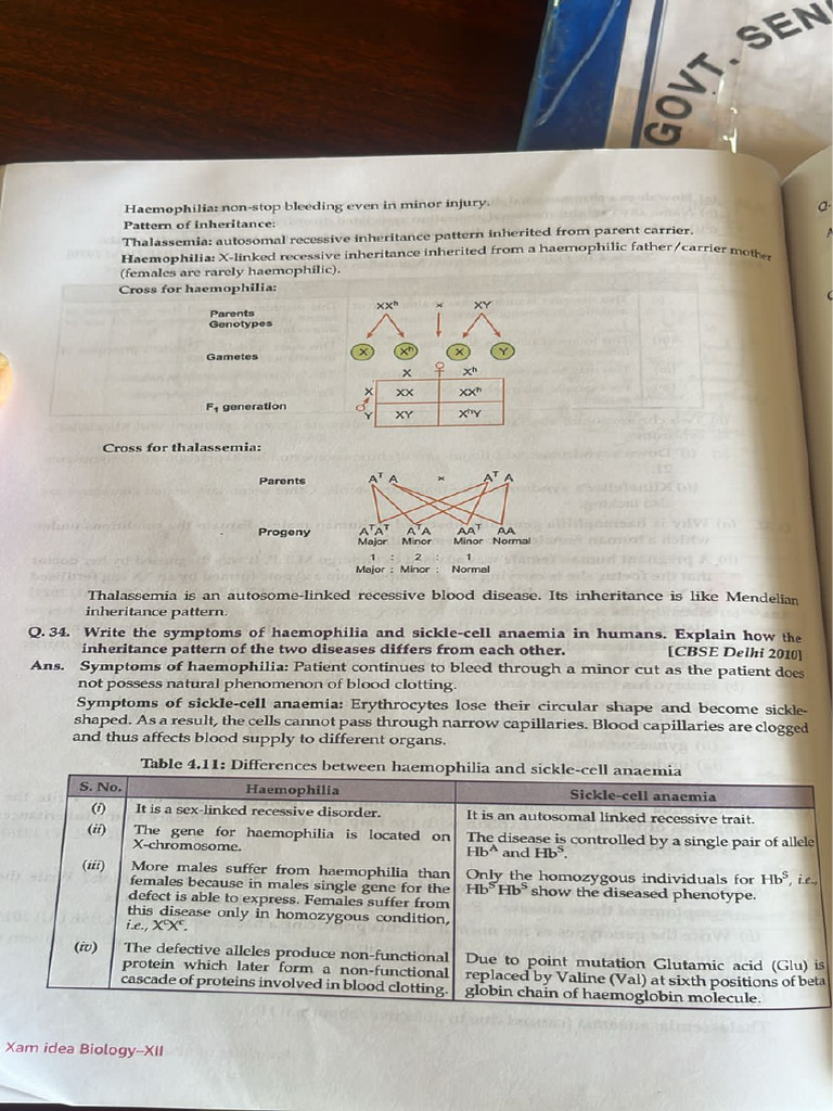 Gallery 20241106 224227 | PDF