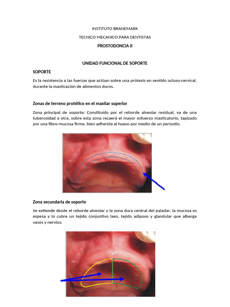 Protodoncia II Unidad Funcional de Soporte | PDF | Salud y bienestar