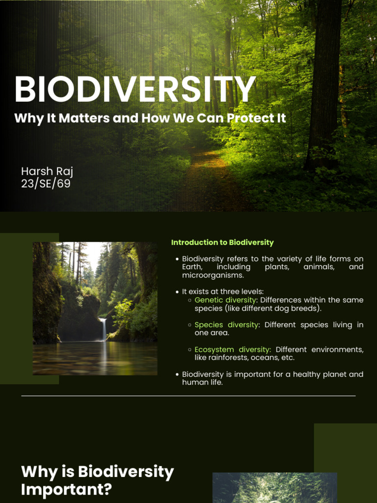 69 Biodiversity Presentation | PDF