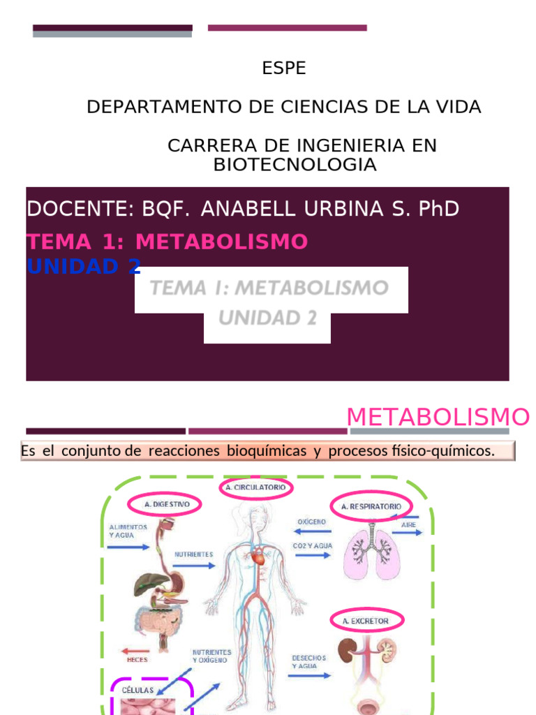 Tema 1 U2 | PDF | Respiración celular | Trifosfato de adenosina