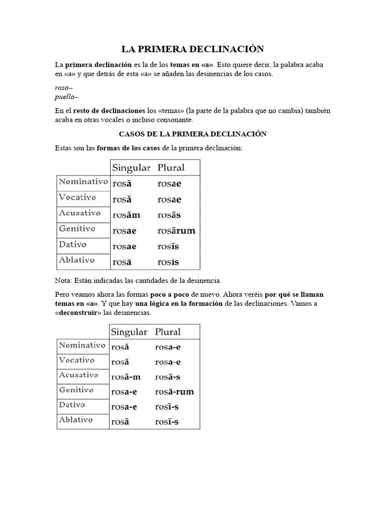 La Primera Declinación en Latín | PDF