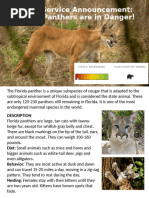 Adaptations of A Black Panther | PDF | Leopard | Cougar