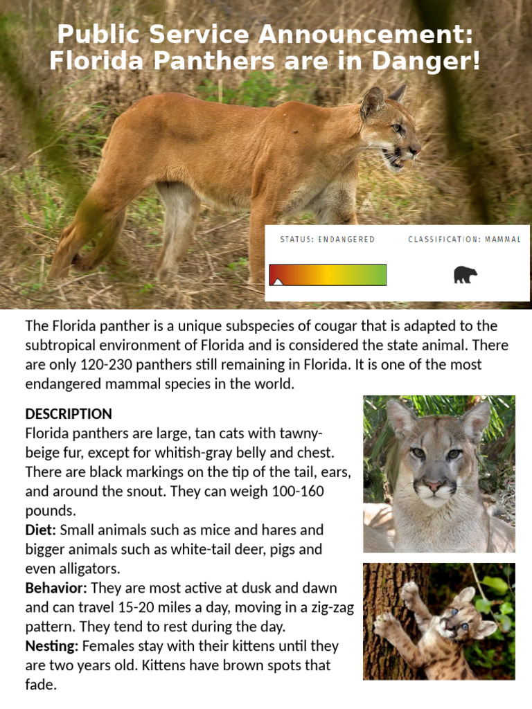 Public Service Announcement Example | PDF