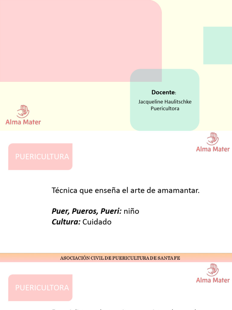 Rol Del Profesional | PDF