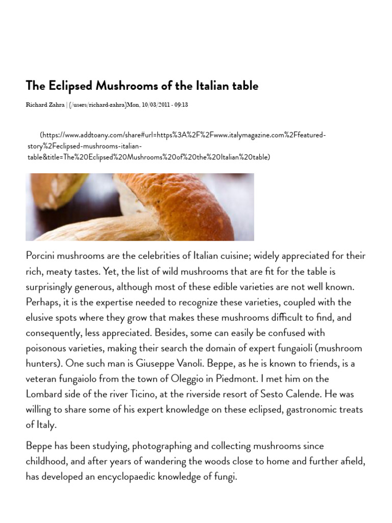 The Eclipsed Mushrooms of The Italian Table - ITALY Magazine | PDF ...
