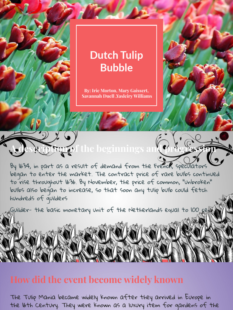 Dutch Tulip Bubble | PDF | Market (Economics) | Economies