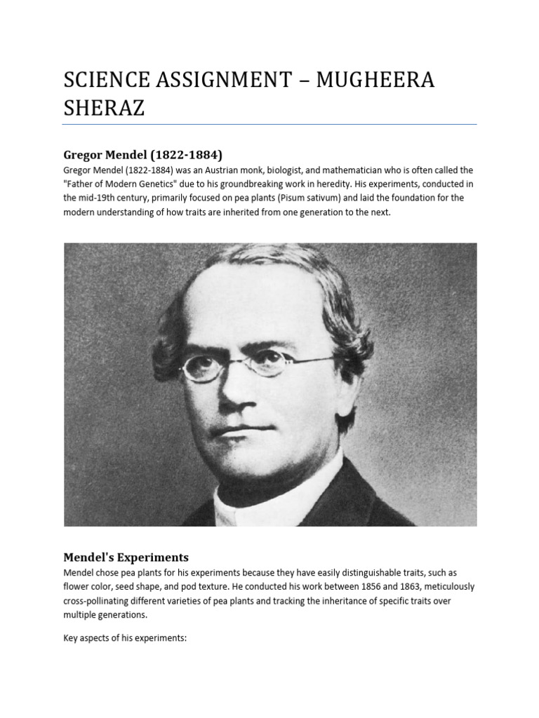 A Research Paper On Gregor Mendel | PDF | Dominance (Genetics) | Heredity