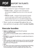 Transport in Plants - IGCSE Biology Notes | PDF | Leaf | Root