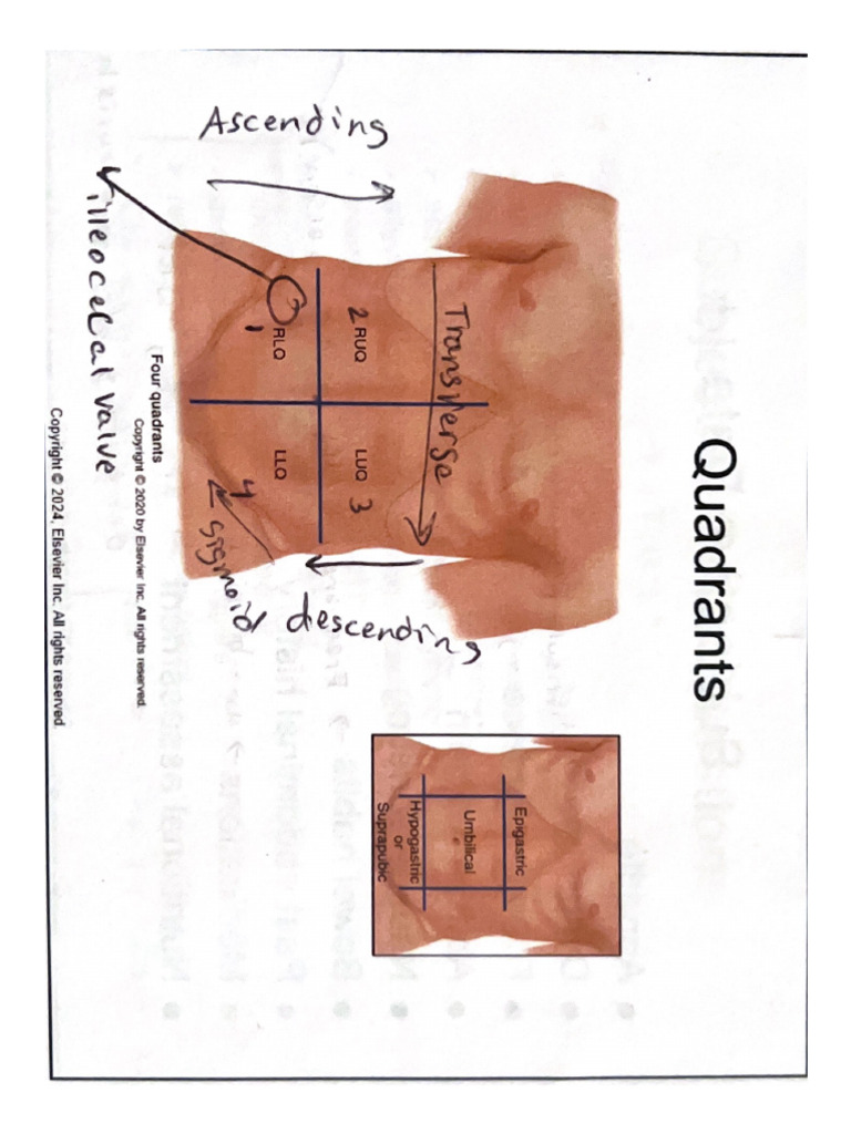 Quadrants | PDF