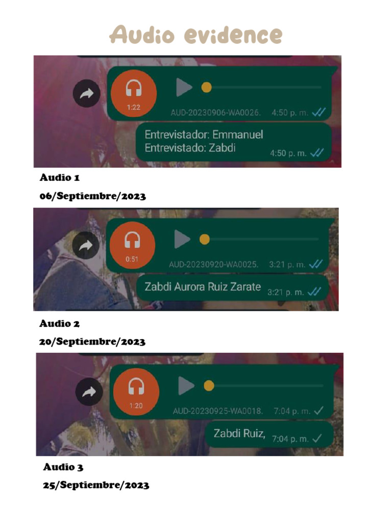 Audio Evidence | PDF