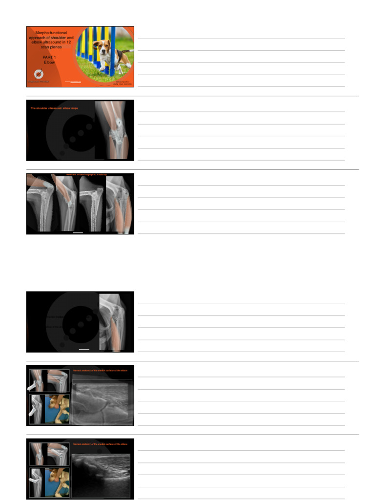 2 Elbow Pdf Elbow Human Anatomy