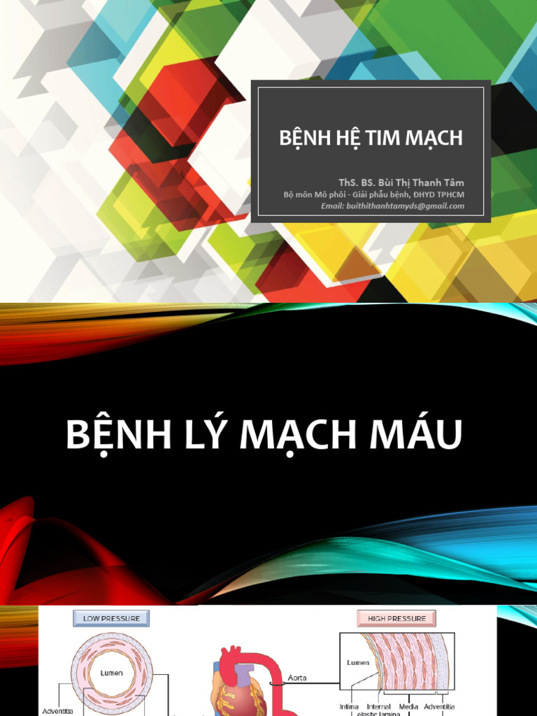 Bài Gi NG GPB Module Tim M CH | PDF