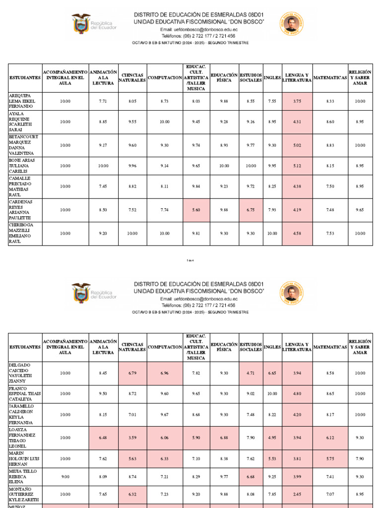 Calificaciones de Octavo B 2024-2025 | PDF