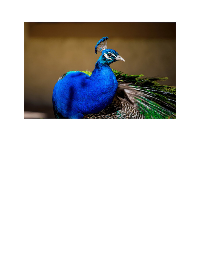 Nowy Dokument Programu Microsoft Word - Kopia | PDF