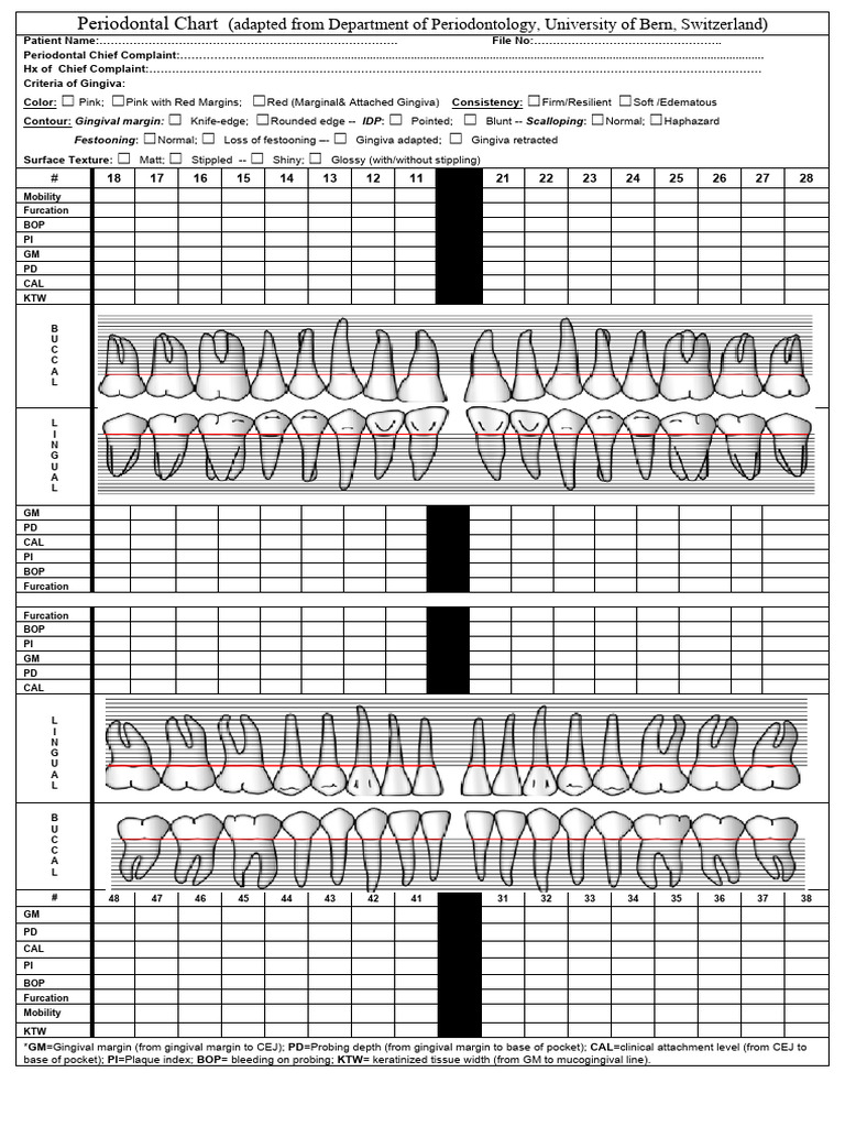 Perio Chart | PDF