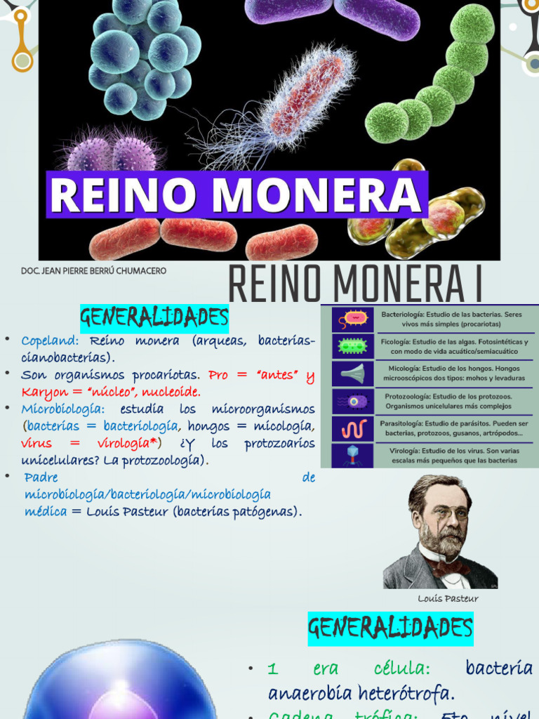 Tem 18-1 Sec-Teo-Reino Monera I | PDF | Las bacterias | Biología Celular)