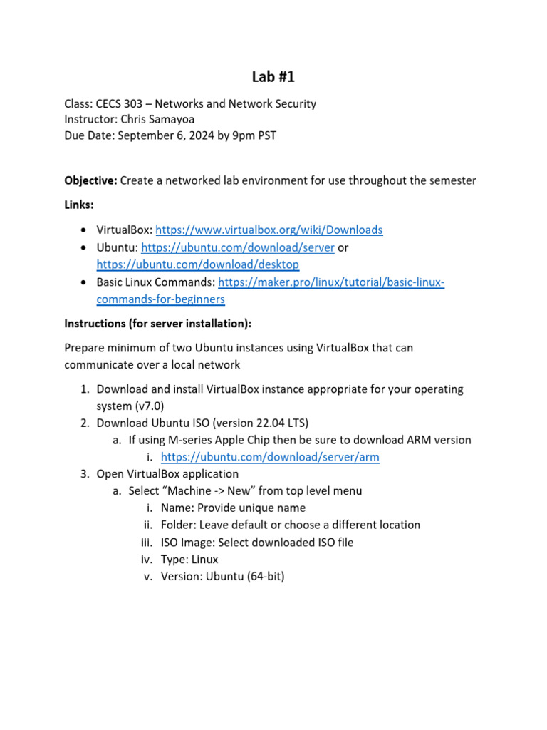 CECS 303 - Lab 1 | PDF | Domain Name System | Computer Science