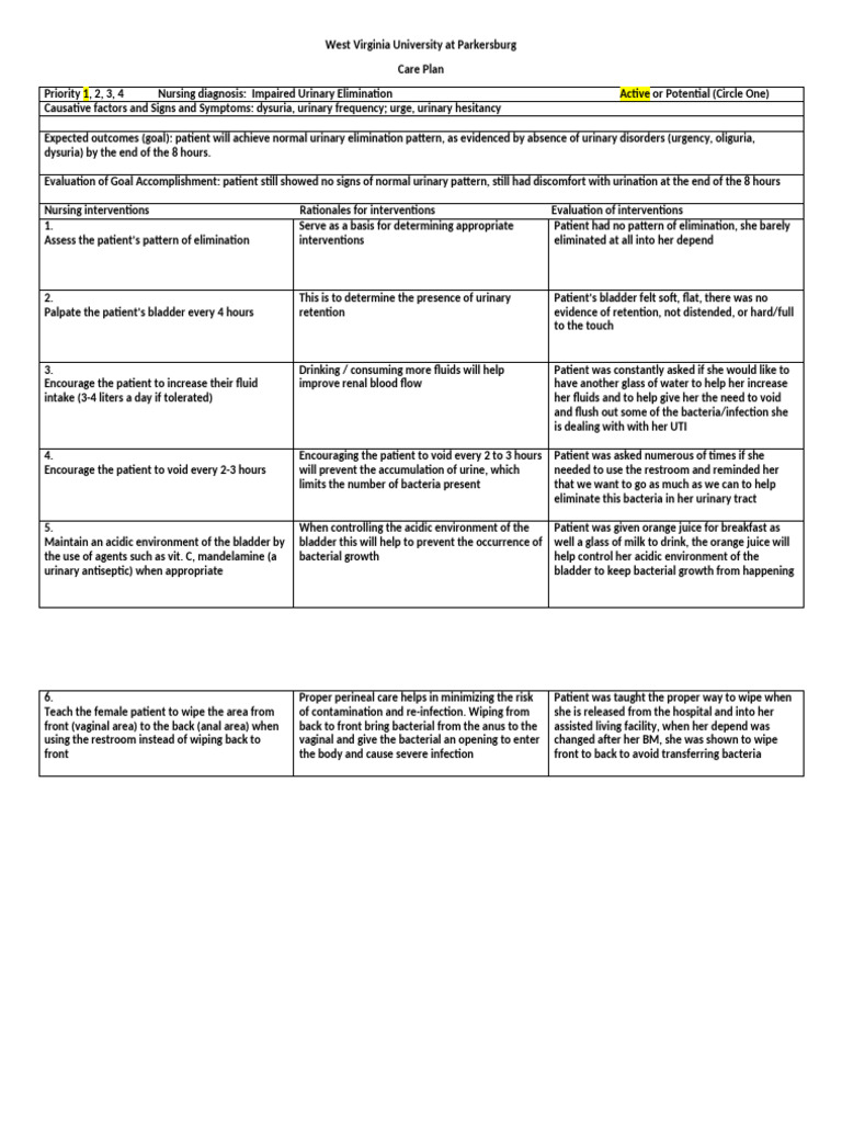 Care Plan For UTI Impaired Urinary Elimination | PDF | Urinary System ...