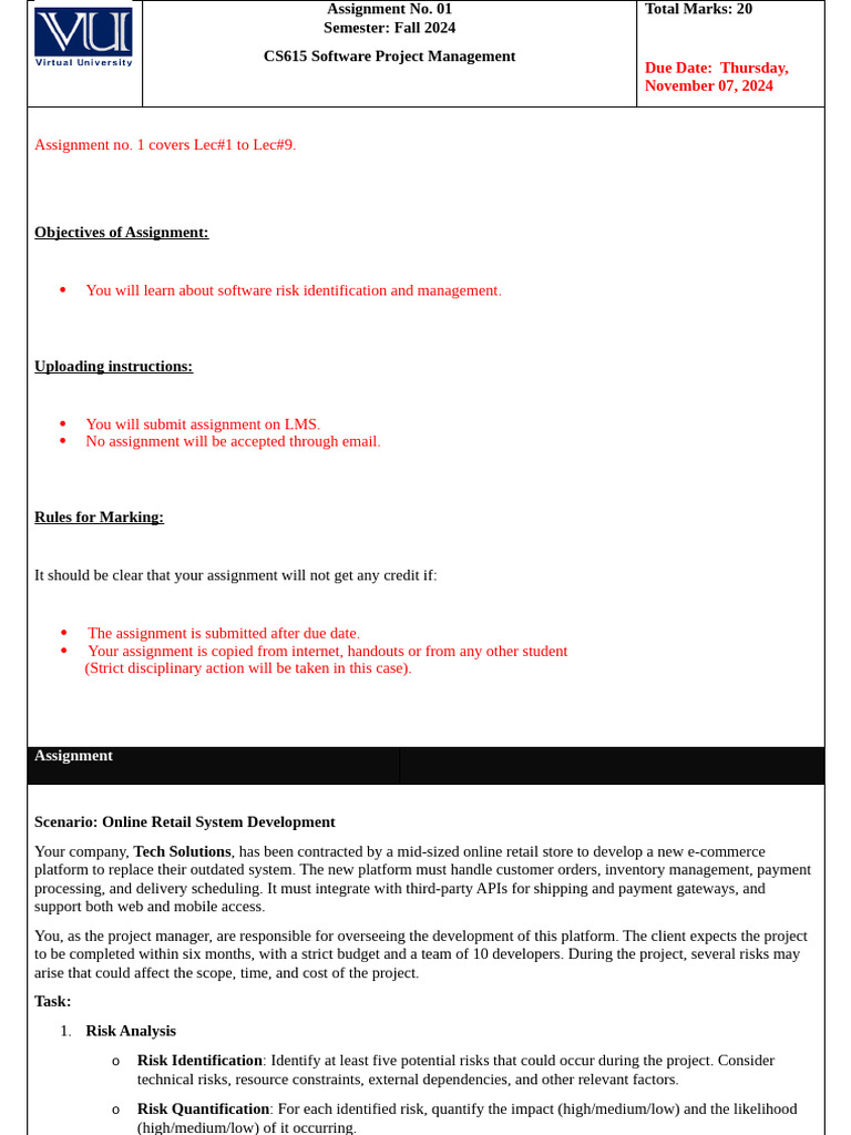 Software Project Risk Management | PDF