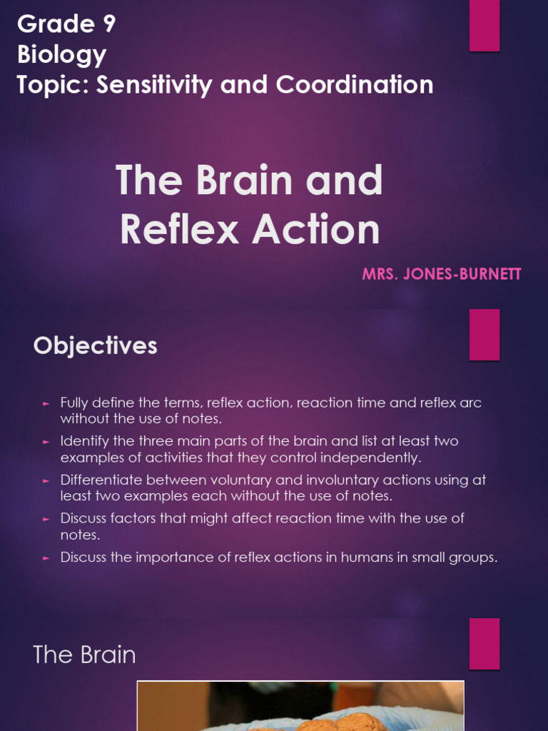 The Brain and Reflex Action | PDF | Stimulus (Physiology) | Mental ...