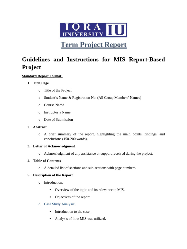 Guidelines and Instructions For MIS Report | PDF | Evaluation | Human ...
